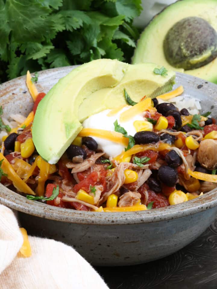 Chicken Recipes For One - One Dish Kitchen