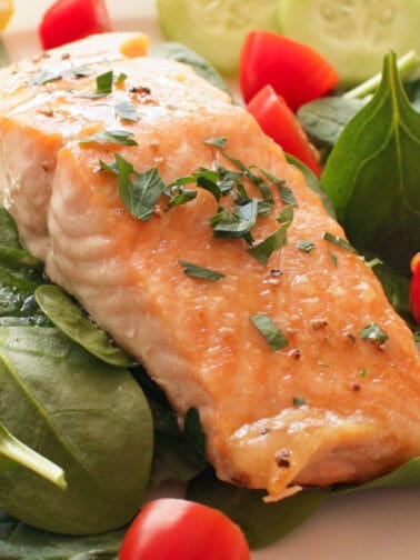 Air Fryer Salmon - One Dish Kitchen