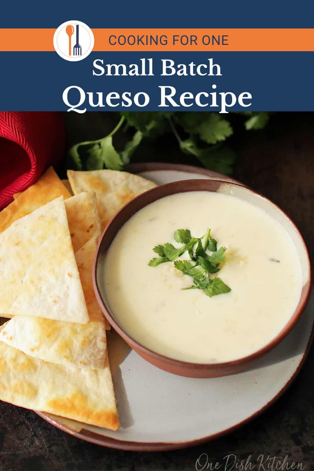 Small Batch White Queso Recipe - One Dish Kitchen