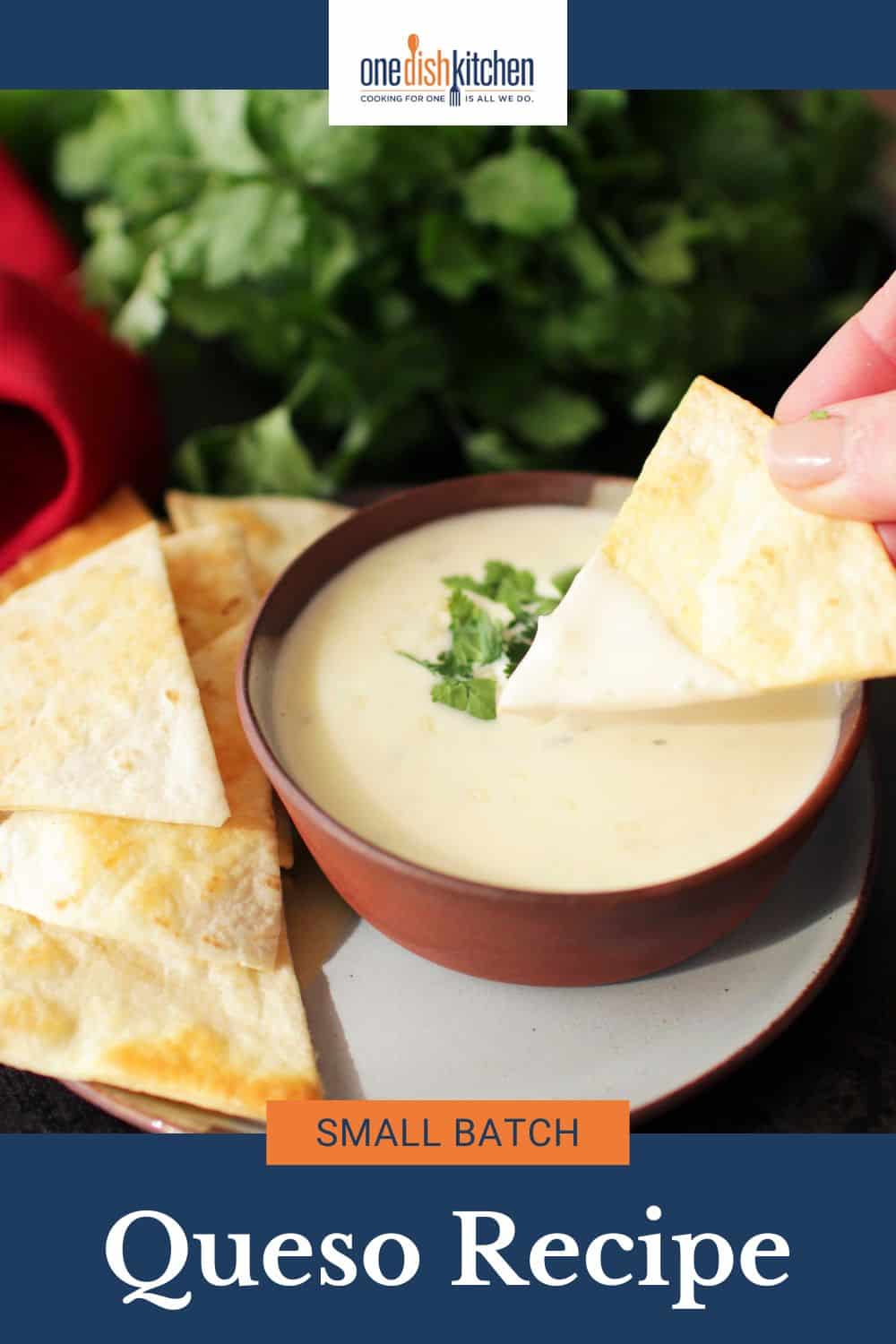 Small Batch White Queso Recipe - One Dish Kitchen