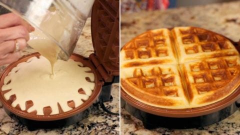 Waffle Recipe For One - One Dish Kitchen