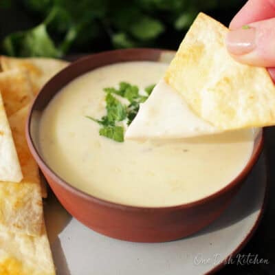 Small Batch White Queso Recipe - One Dish Kitchen