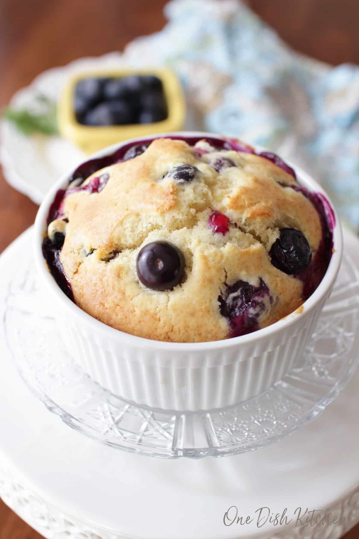 Blueberry Muffin For One - One Dish Kitchen