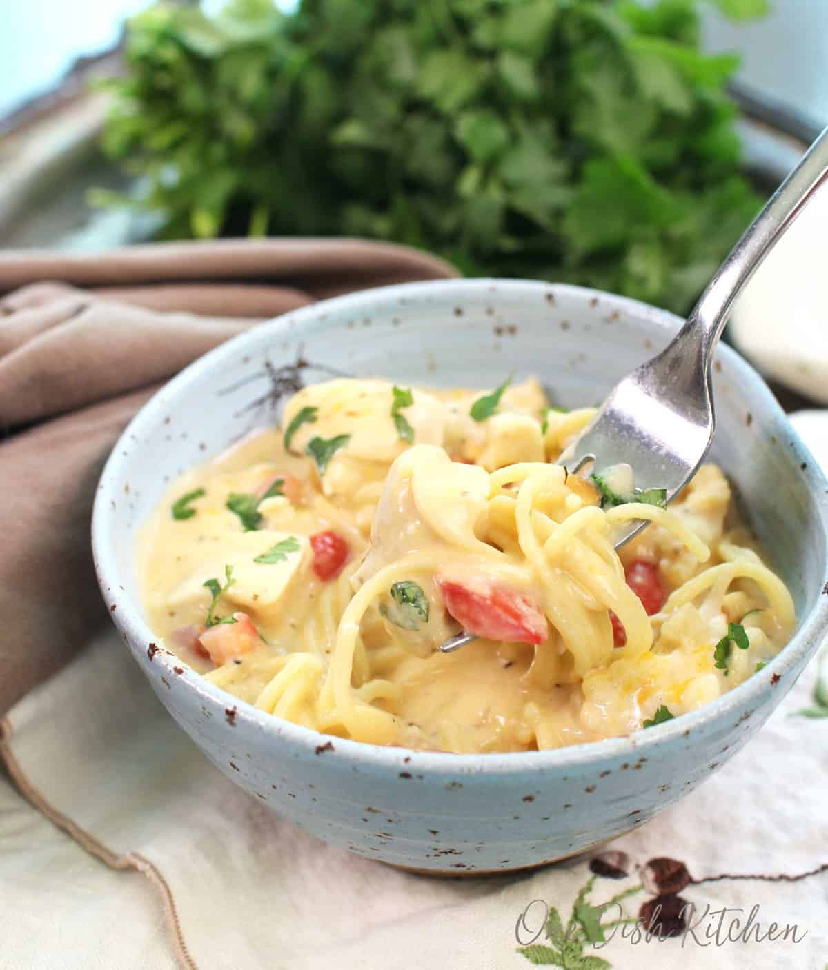 Chicken Spaghetti For One - One Dish Kitchen