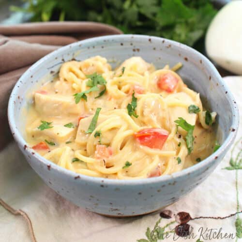 Chicken Spaghetti For One - One Dish Kitchen