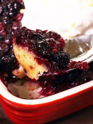Mini Blueberry Cake Recipe - One Dish Kitchen