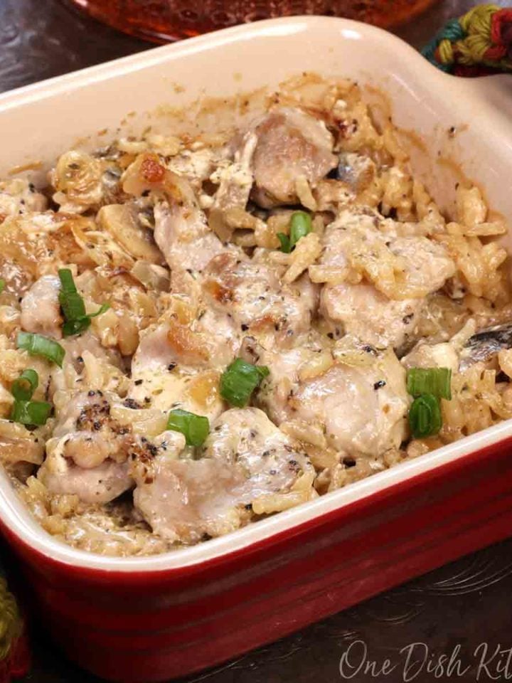 Chicken Fried Rice For One - One Dish Kitchen