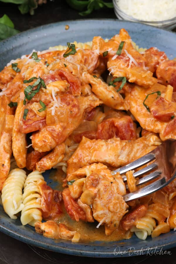 Chicken Paprika For One - One Dish Kitchen