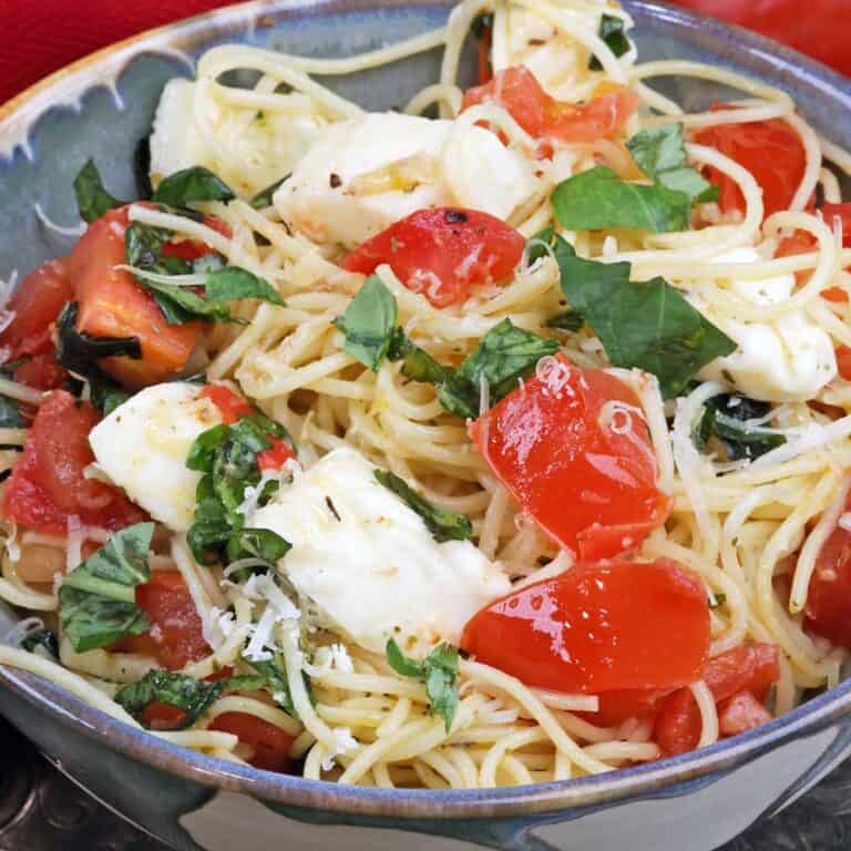 Easy Vegetarian Recipes - Single Servings - One Dish Kitchen