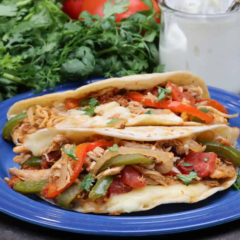 Chicken Tacos For One - One Dish Kitchen