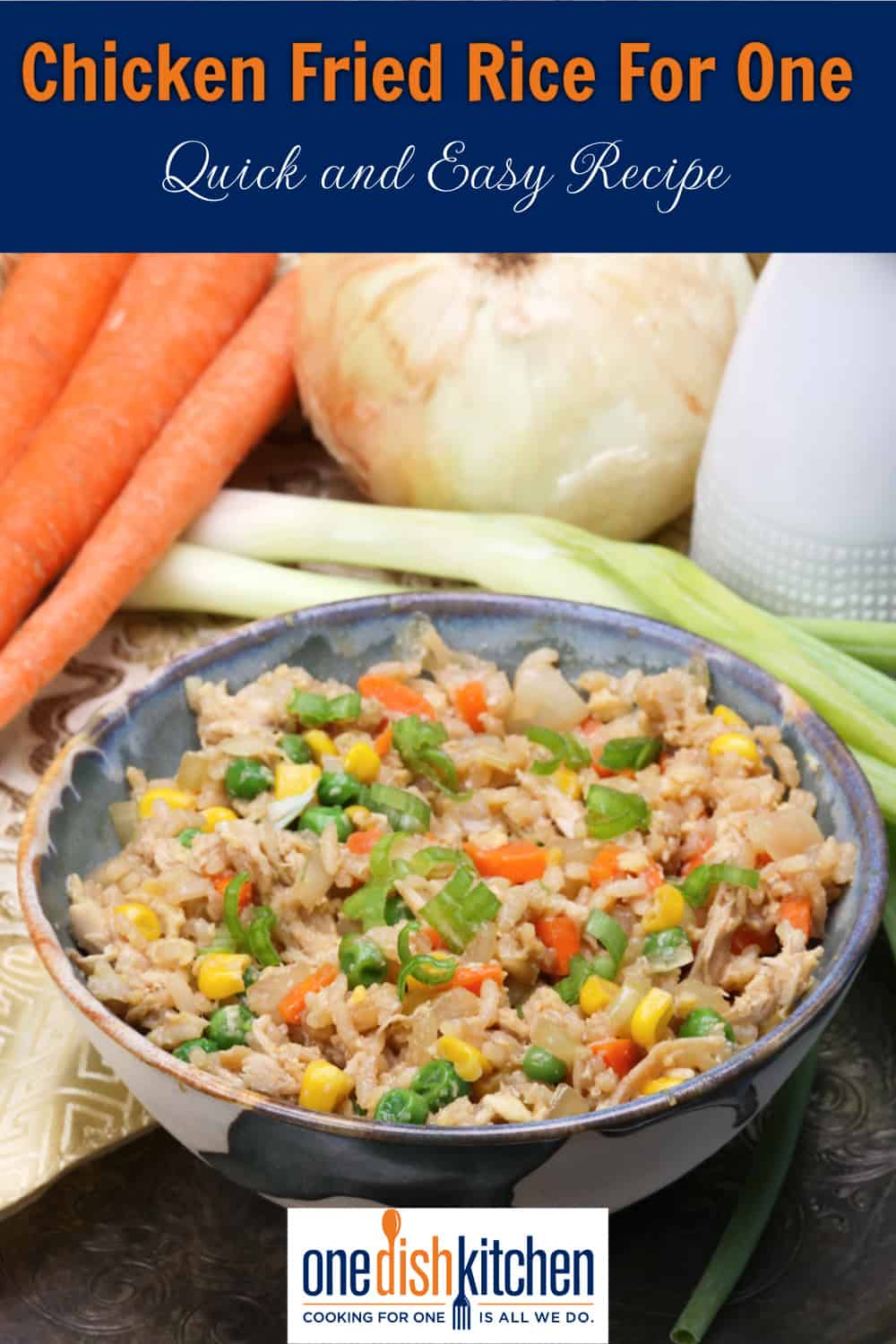 Chicken Fried Rice For One - One Dish Kitchen