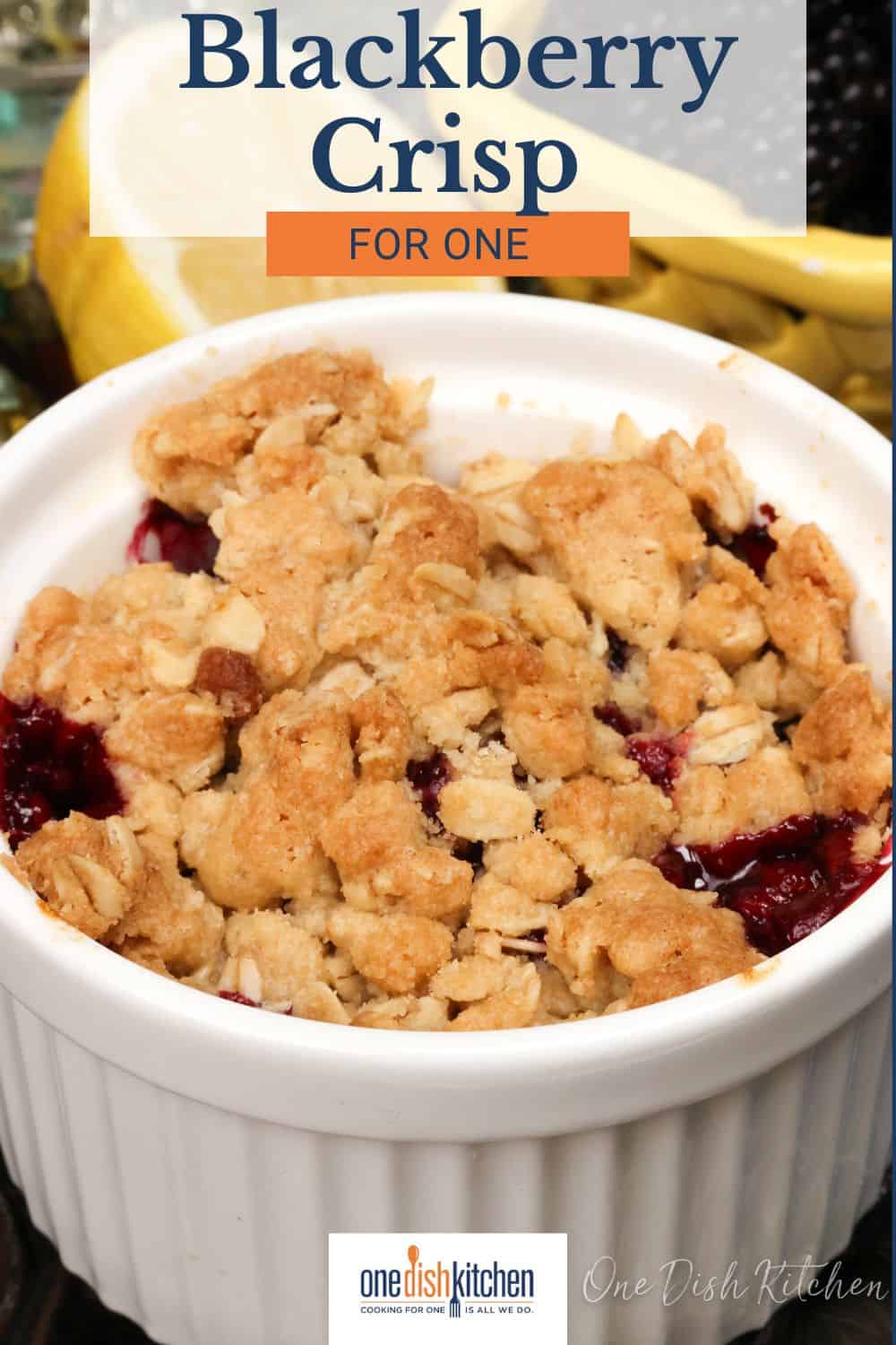Blackberry Crisp For One - One Dish Kitchen