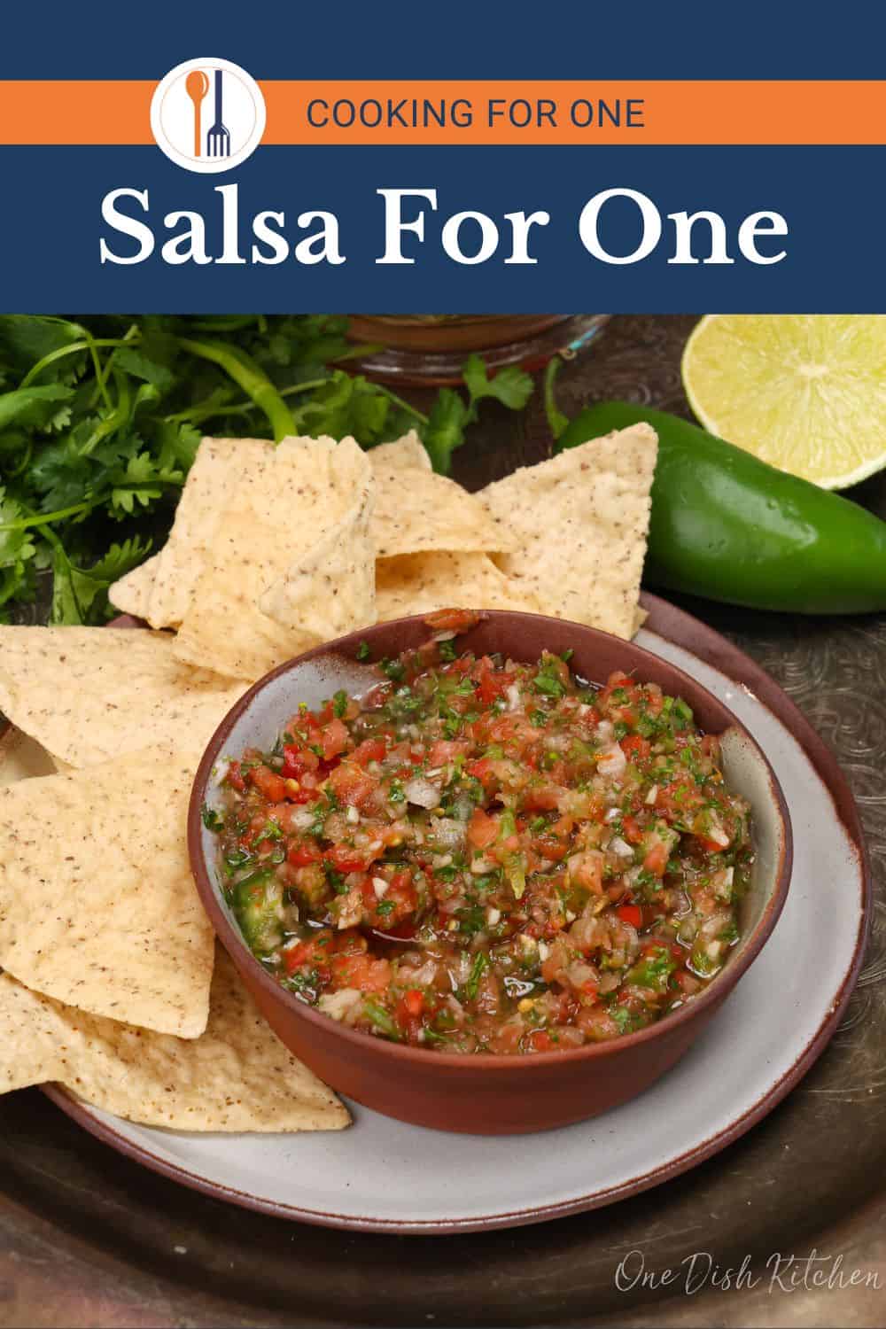 Salsa For One - One Dish Kitchen