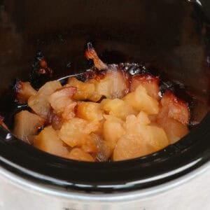 Mini Slow Cooker Applesauce For One - One Dish Kitchen