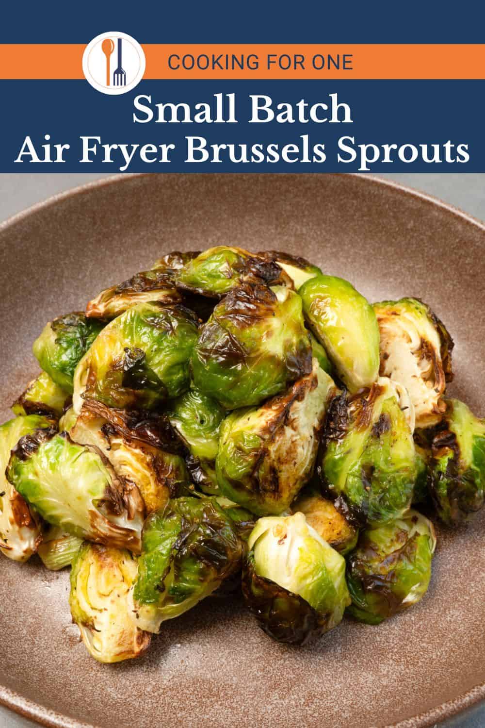 Small Batch Air Fryer Brussels Sprouts - One Dish Kitchen