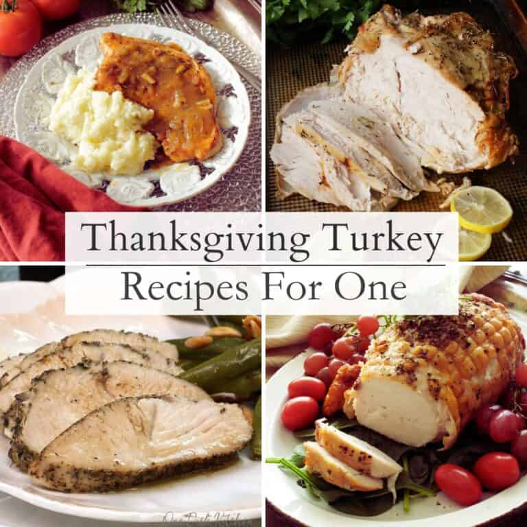 Easy Small Batch Turkey for One (4 Recipes) – One Dish Kitchen